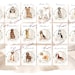 Dog Table Place Cards Dog Table Name Cards Pet Place Cards Dog Wedding ...