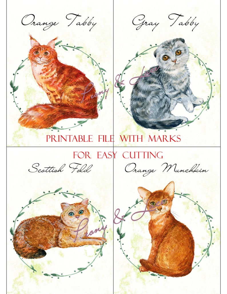 Printable DIY or Printed 12 Cats Table Sign Cats Table | Etsy