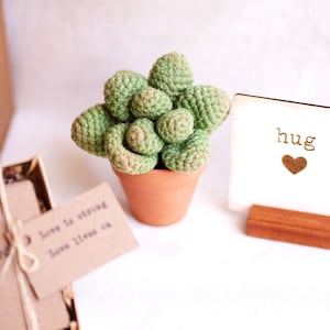 Sympathy Gift Box With Crochet Succulent Pot and Grief Affirmation Card ...