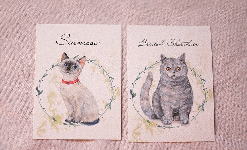 Printable DIY or Printed 12 Cats Table Sign Cats Table | Etsy