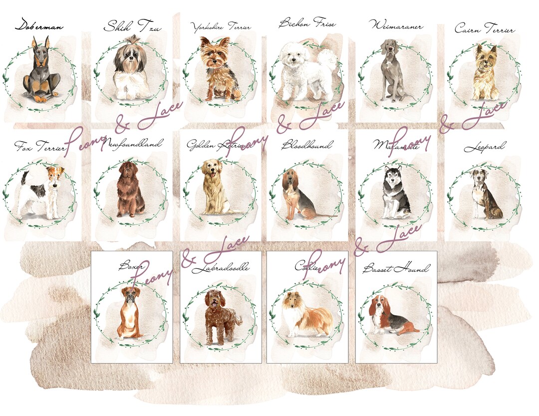 Printable DIY or Printed - 16 Dogs Table Sign - Dogs Table Number - Pet ...