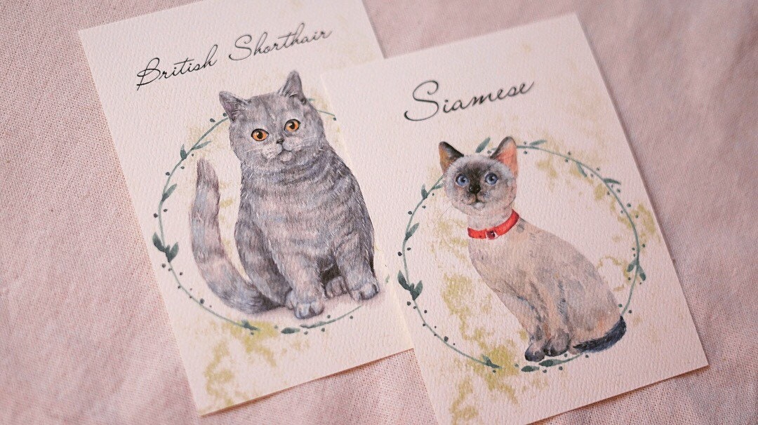 Printable DIY or Printed 12 Cats Table Sign Cats Table | Etsy