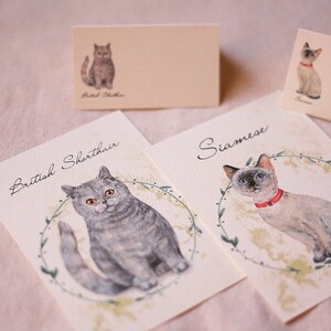 Printable DIY or Printed - 12 Cats Table Sign - Cats Table Number - Pet ...