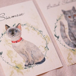 Printable DIY or Printed - 12 Cats Table Sign - Cats Table Number - Pet ...