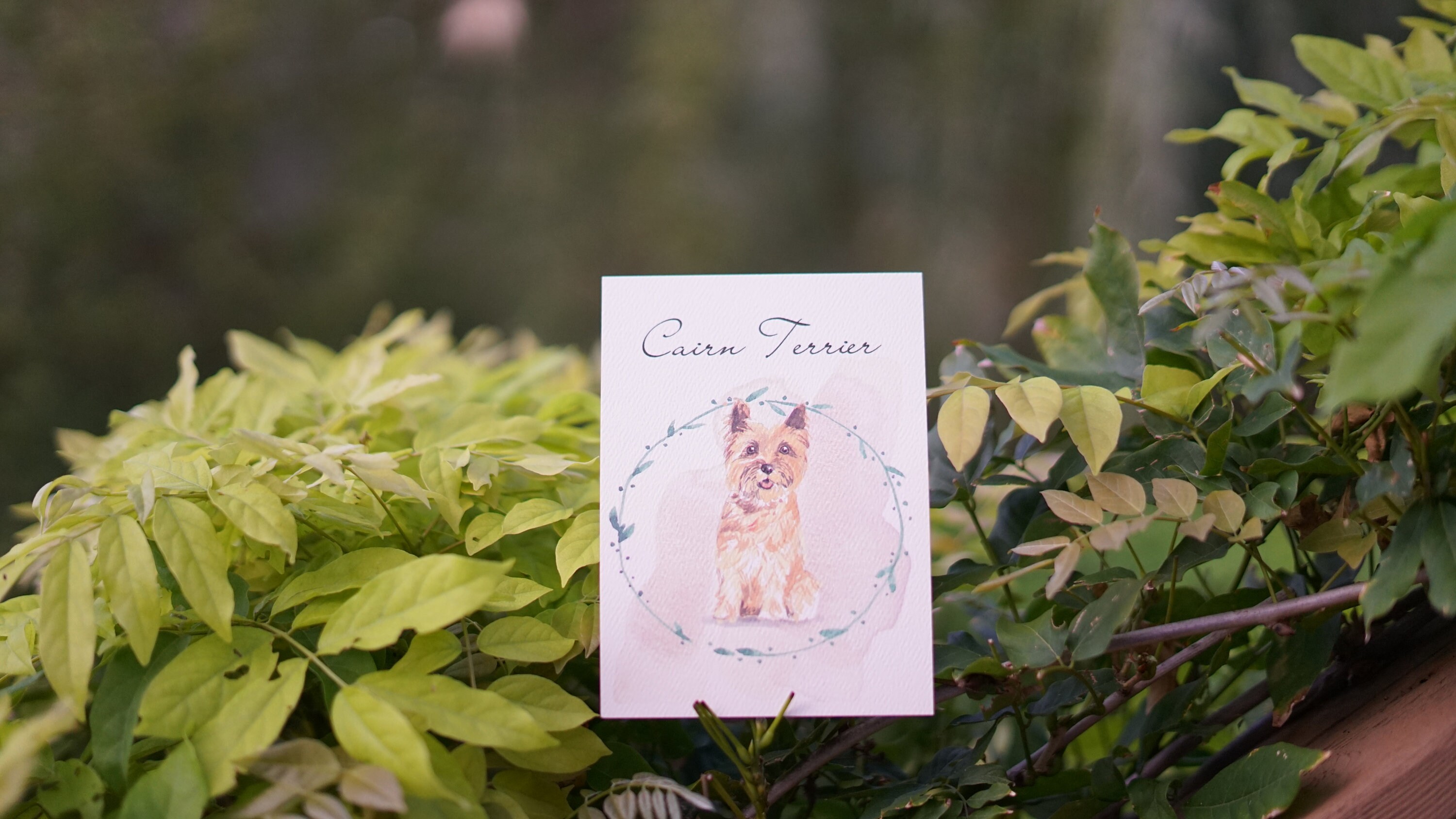 Printable DIY or Printed - 16 Dogs Table Sign - Dogs Table Number - Pet ...