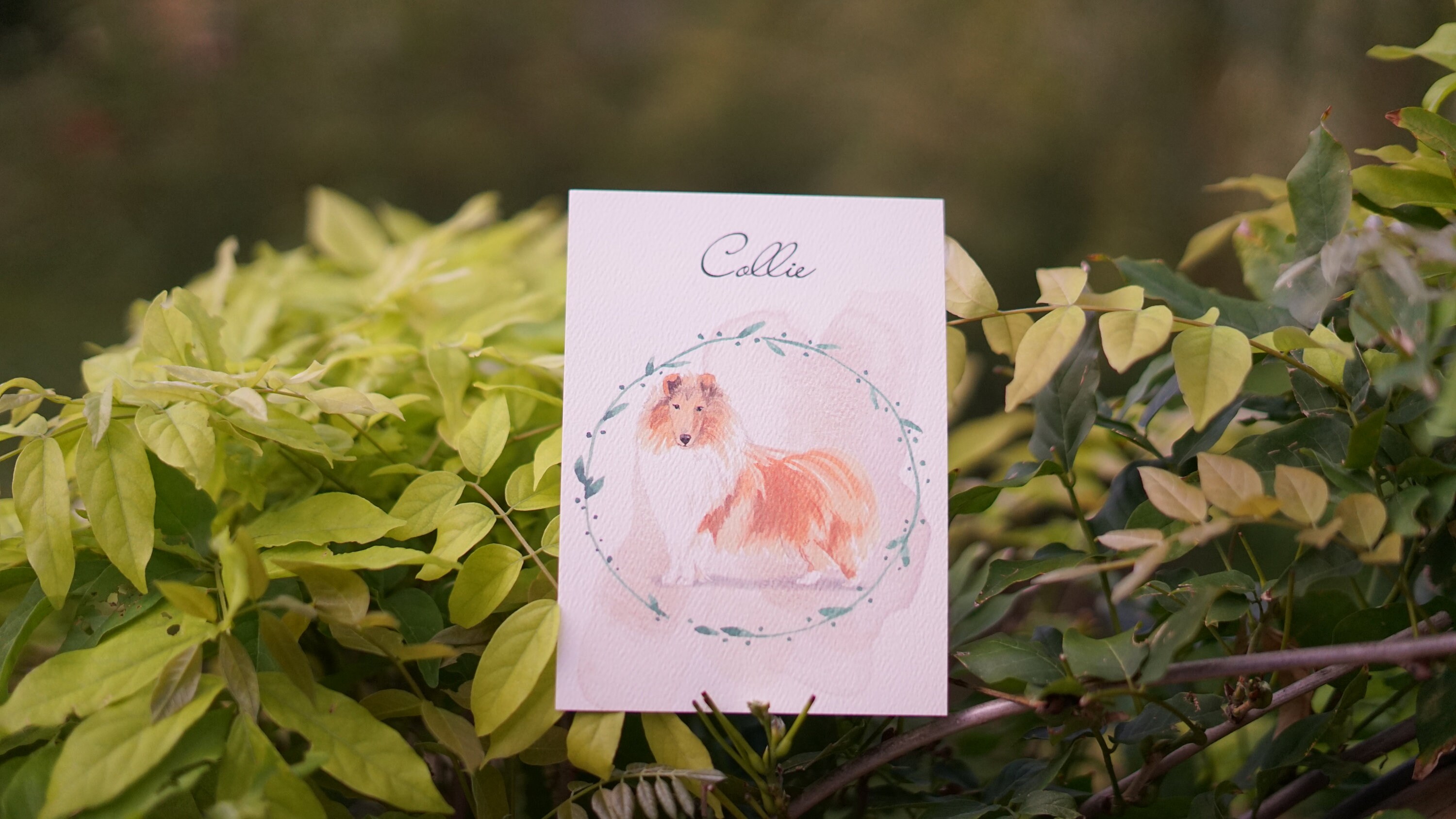 Printable DIY or Printed - 16 Dogs Table Sign - Dogs Table Number - Pet ...