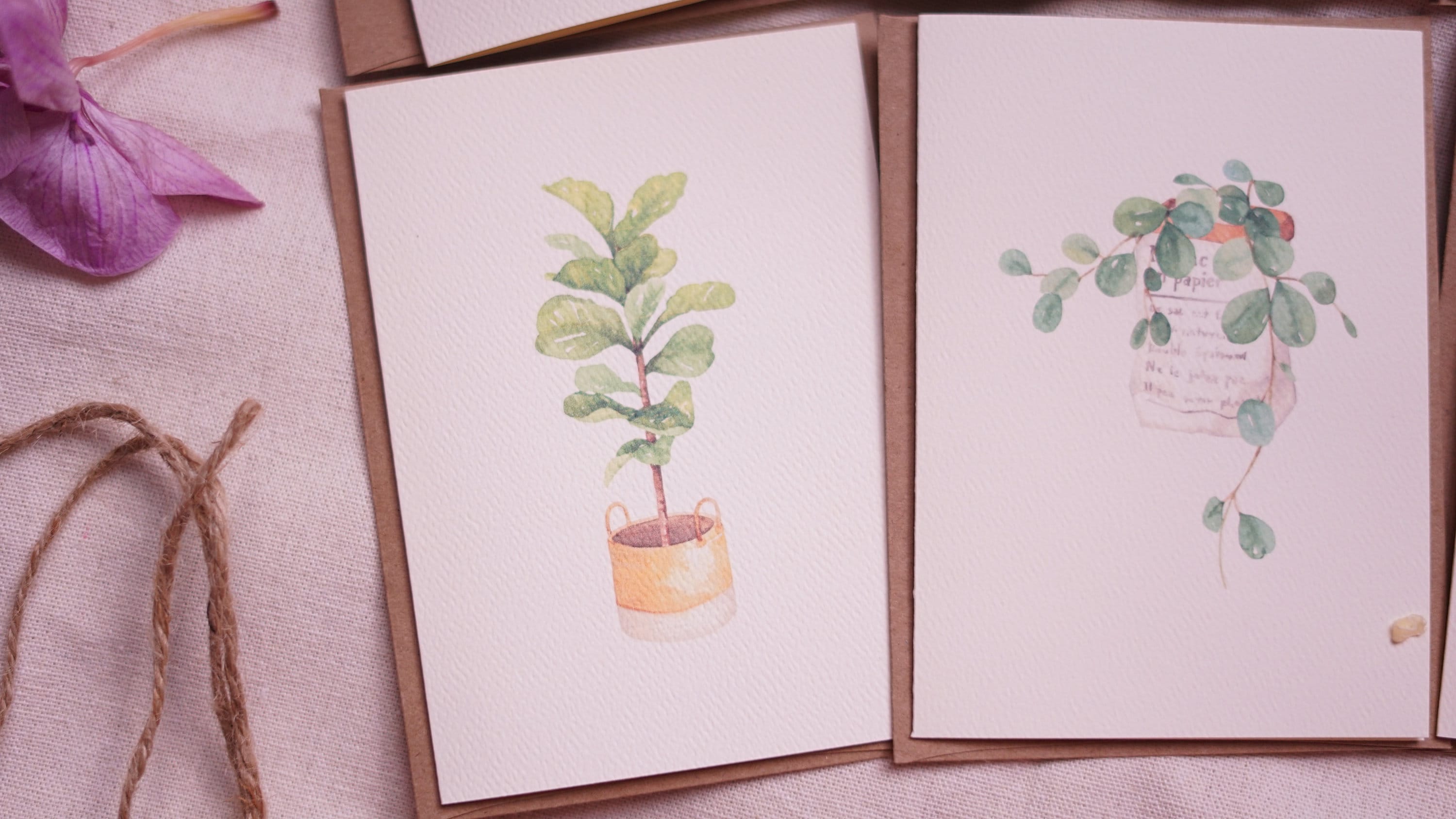 Set of 6 Variety Indoor Plant Blank Note Cards Greenery Card | Etsy