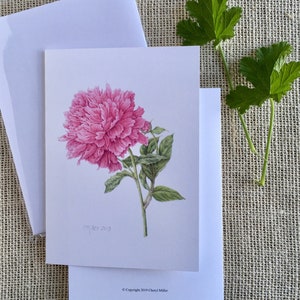 Pink Peony Note Cards - Package of 4 - Blank Note Cards With Envelopes ...