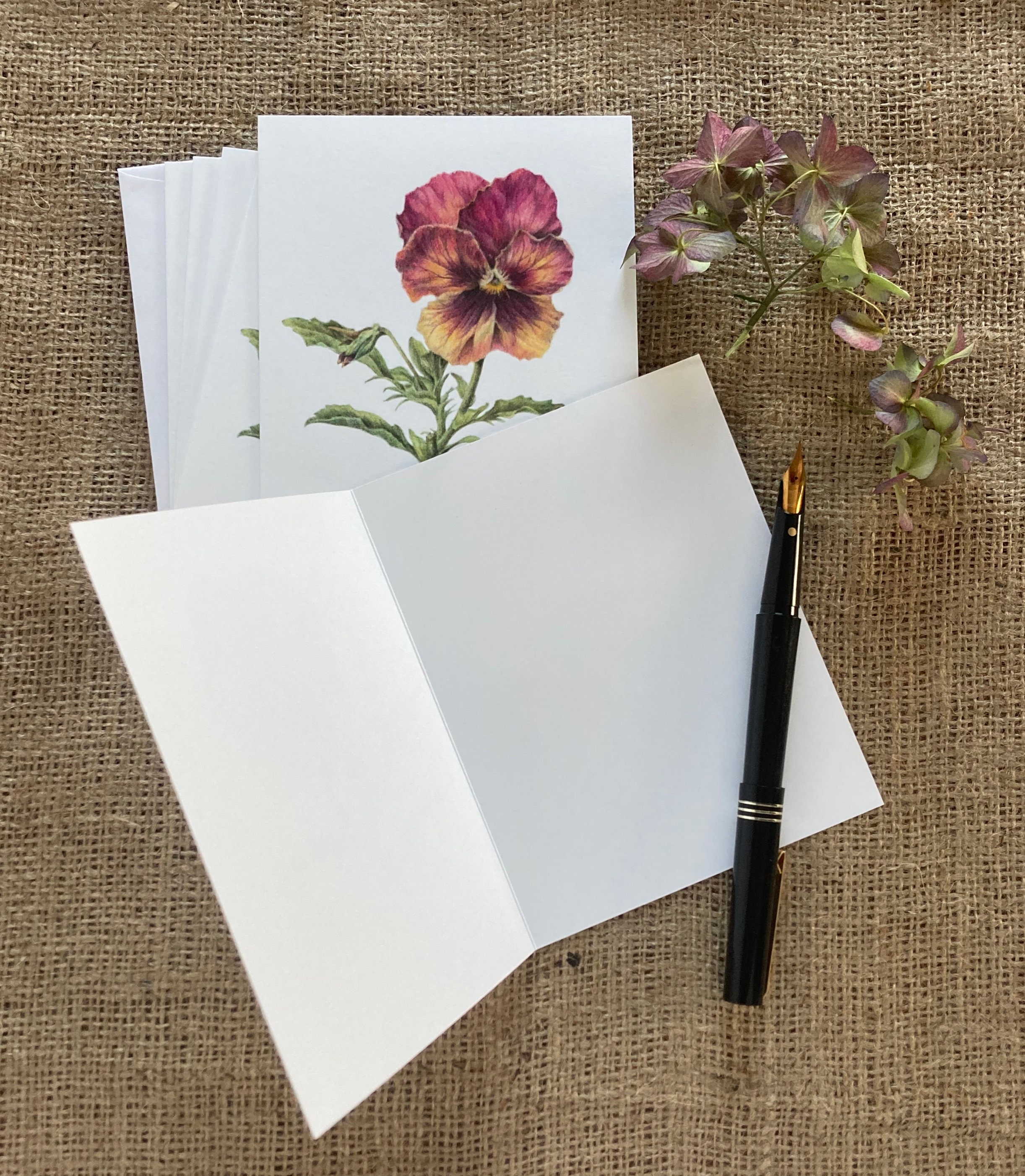 Pansy Note Cards Blank Botanical Note Cards Package of 6 All One Design ...