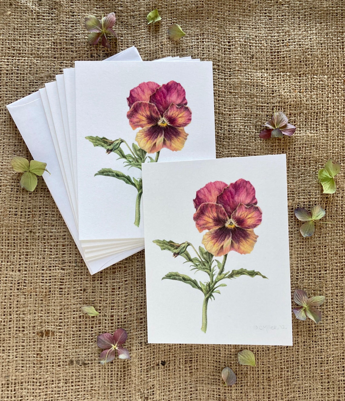 Pansy Note Cards Blank Botanical Note Cards Package of 6 All One Design ...