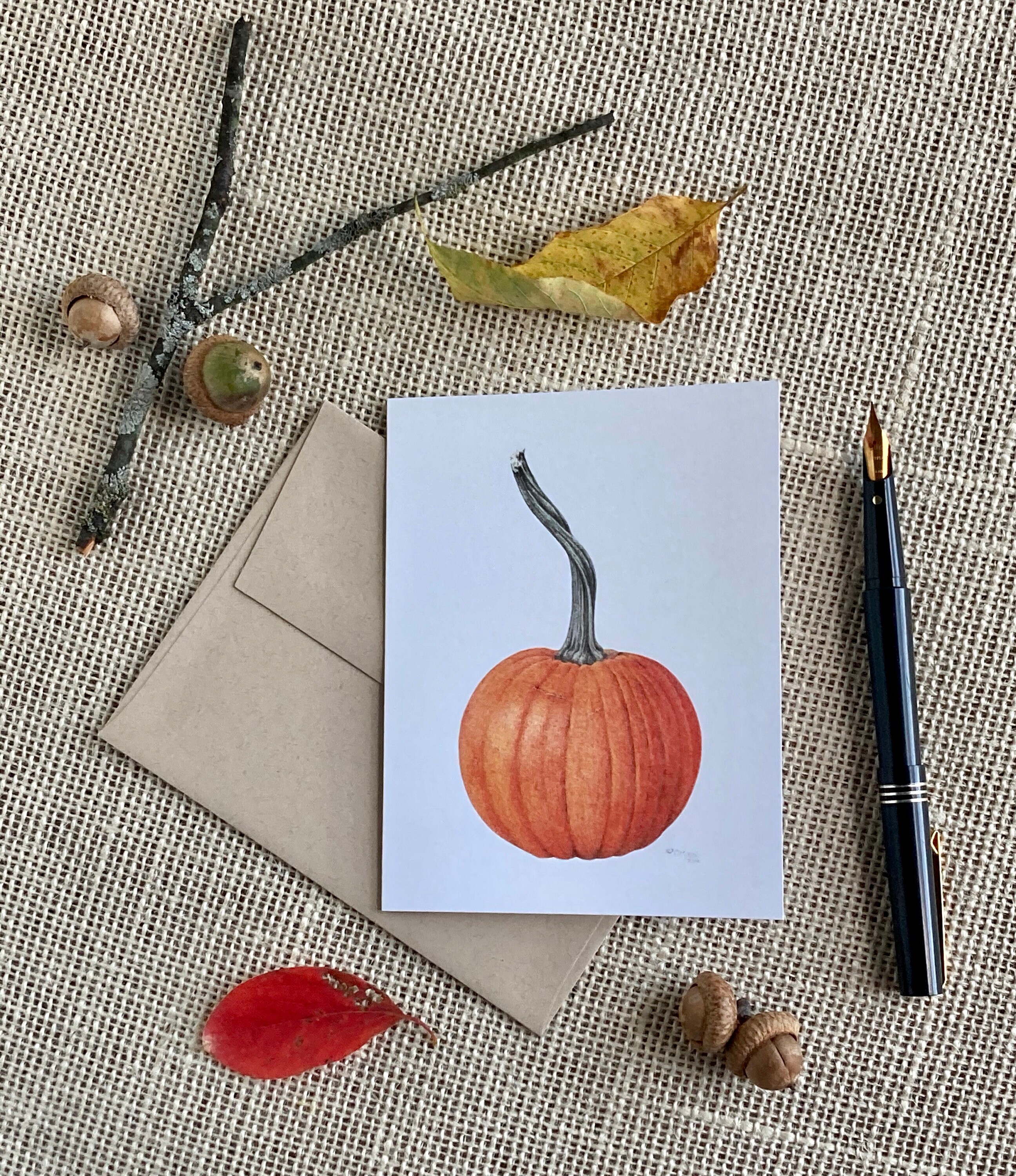 Pumpkin Note Cards 6 Blank Botanical Cards all One Design Brown Kraft ...
