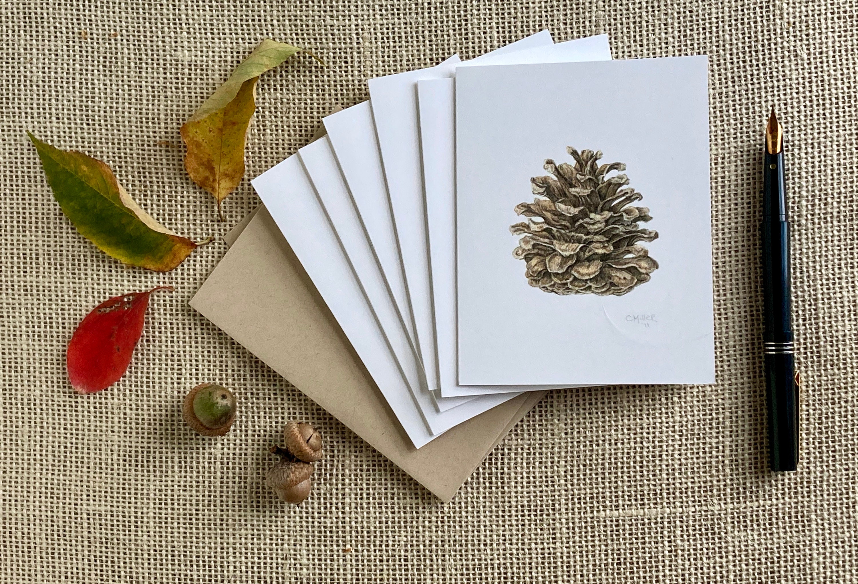Pine Cone Note Cards, All One Design - Kraft Envelopes, 4 1/4" X 5 1/2 ...