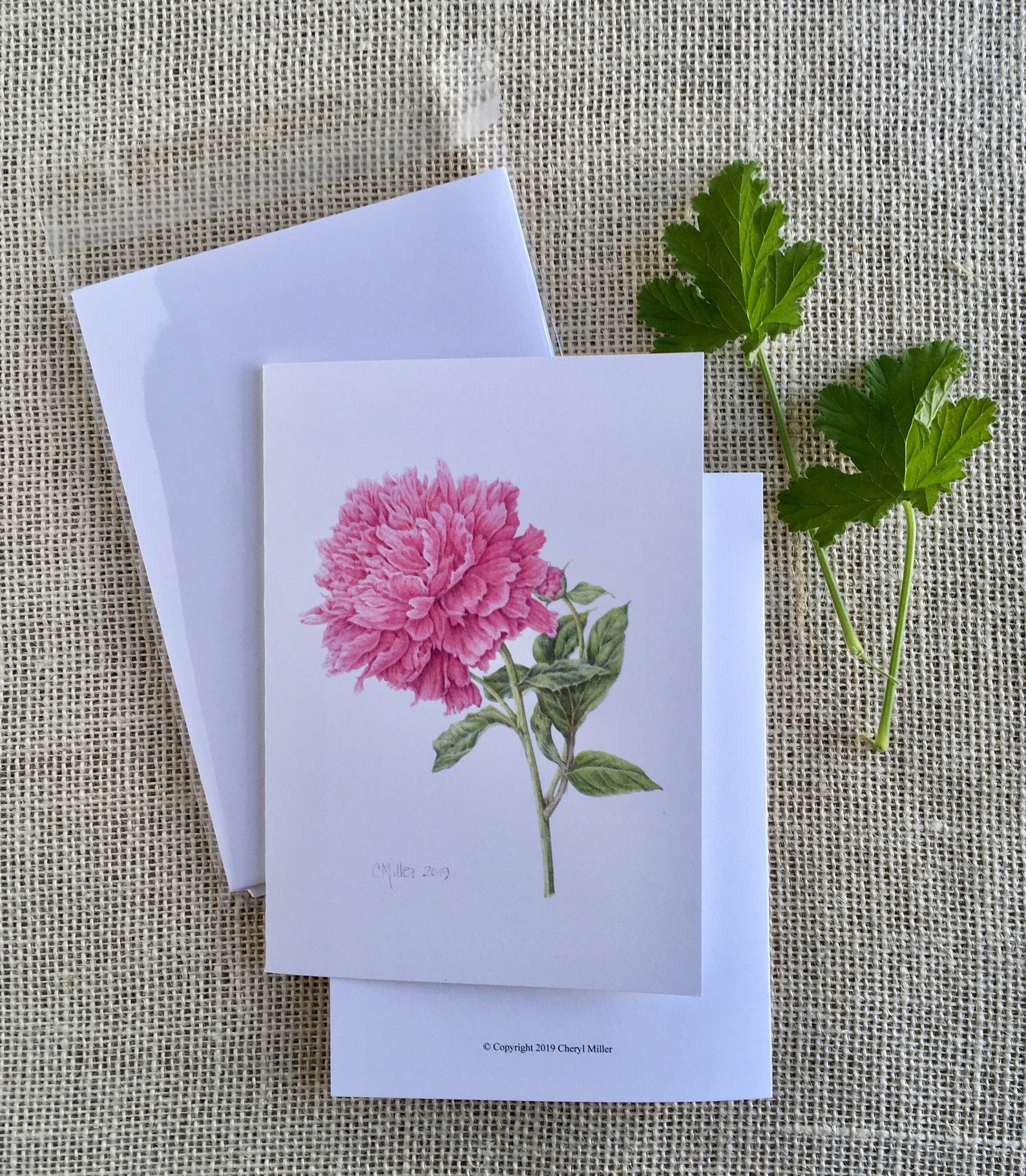 Pink Peony Note Cards - Package of 4 - Blank Note Cards With Envelopes ...