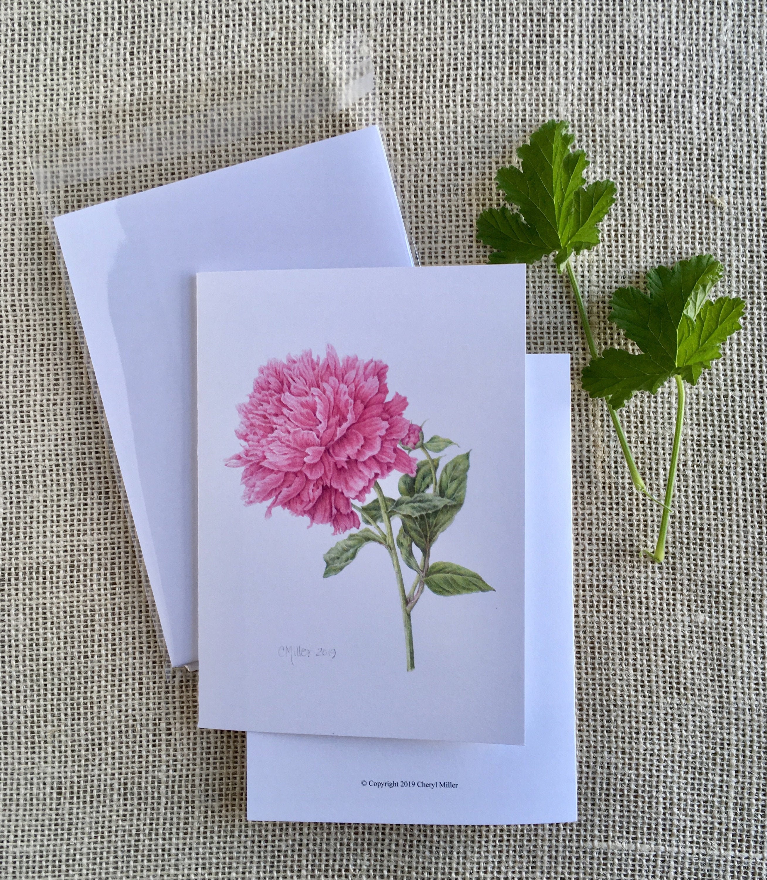 Pink Peony Note Cards - Package of 4 - Blank Note Cards With Envelopes ...