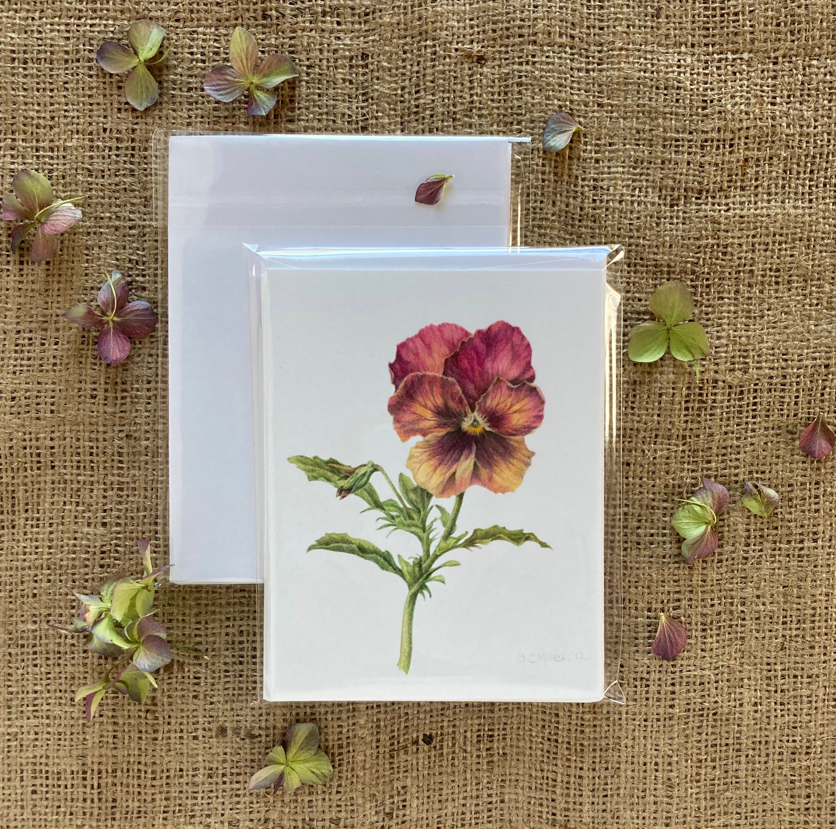 Pansy Note Cards Blank Botanical Note Cards Package of 6 All One Design ...