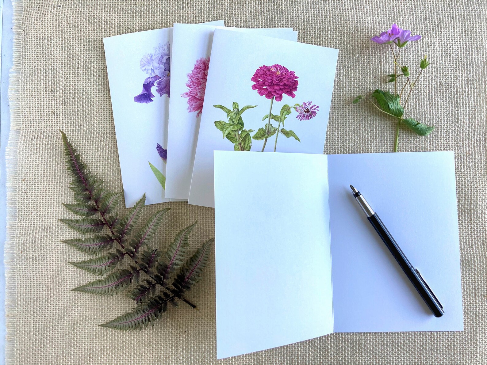 Assorted Package of 6 Blank Greeting Cards With Envelopes - Etsy