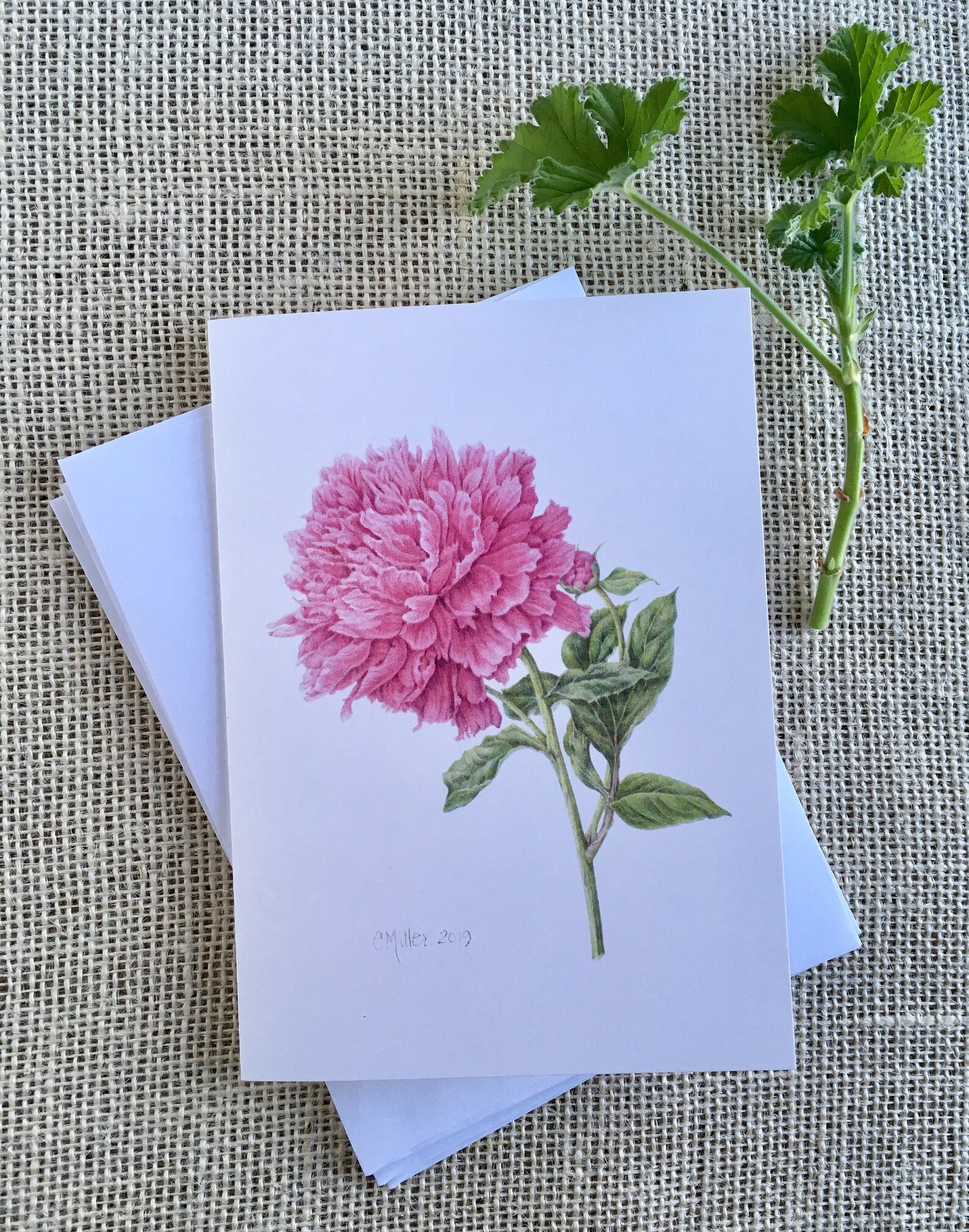 Pink Peony Note Cards - Package of 4 - Blank Note Cards With Envelopes ...