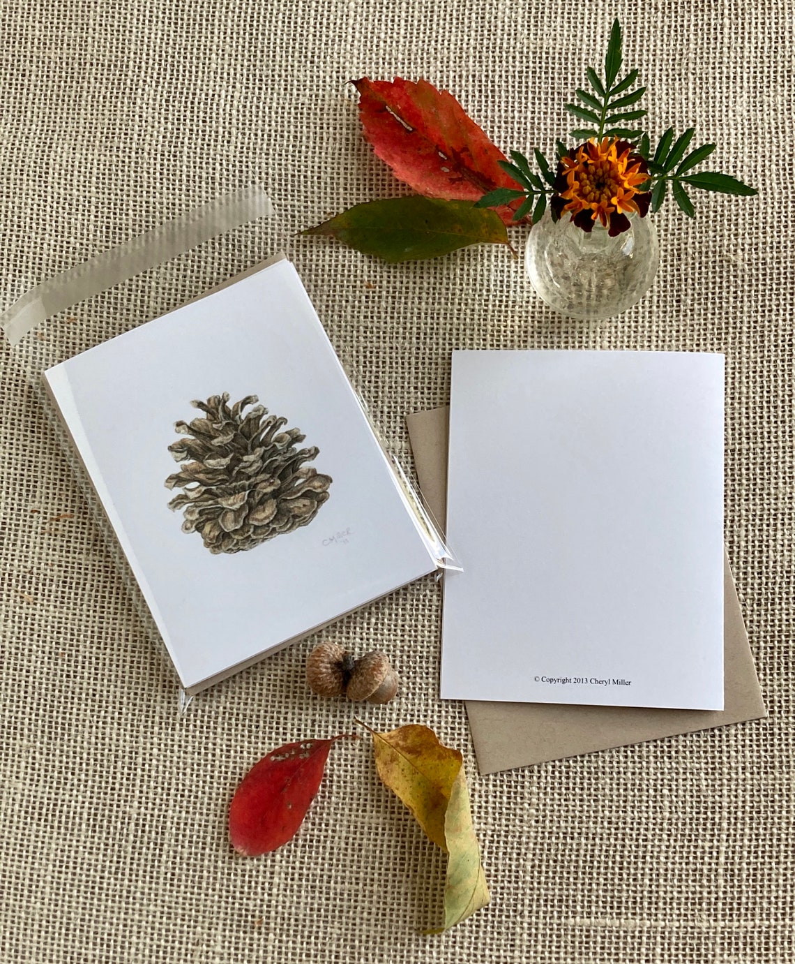 Pine Cone Note Cards, All One Design - Kraft Envelopes, 4 1/4" X 5 1/2 ...