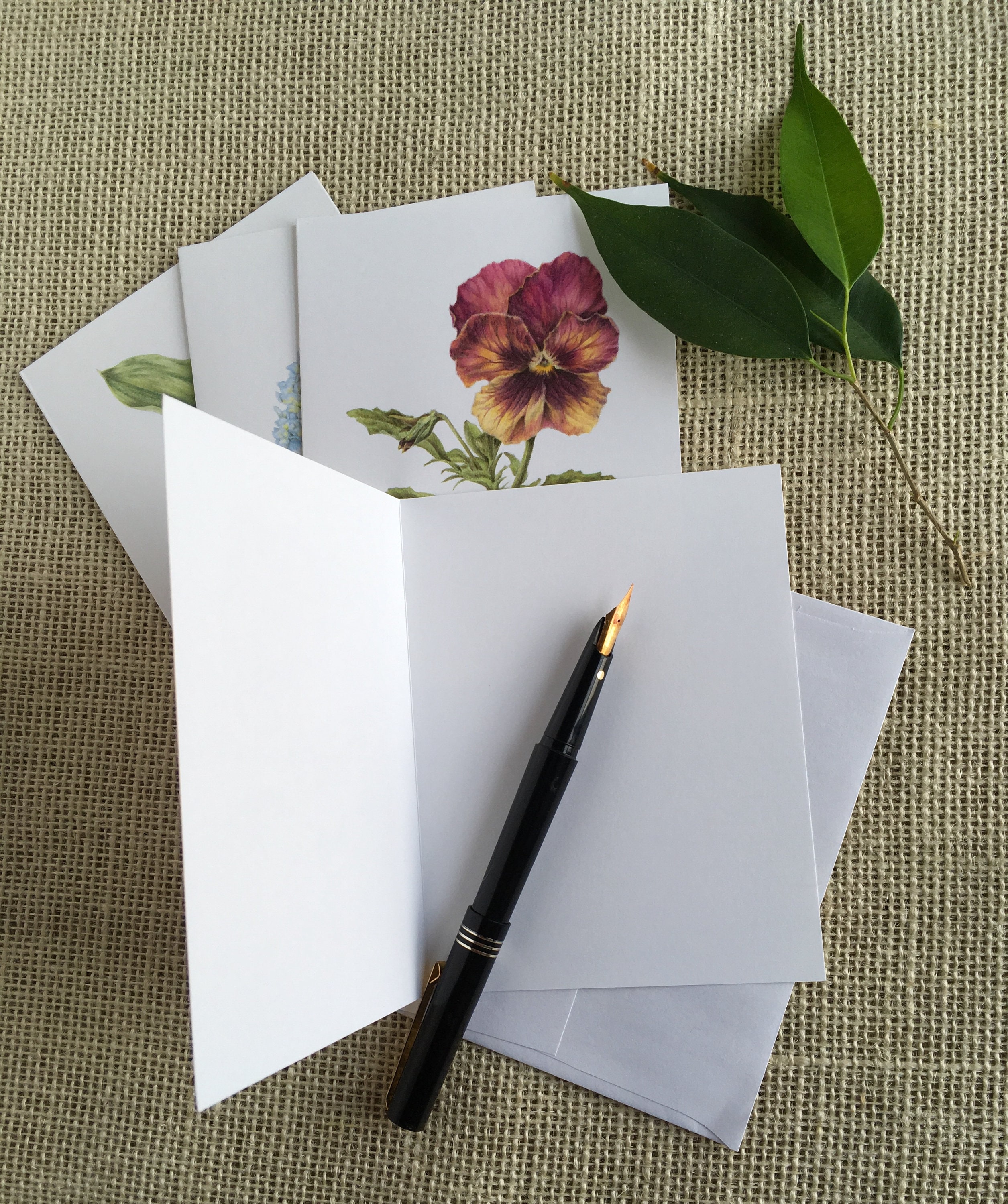 Assorted Package of 6 Blank Botanical Note Cards,2 Each of 3 Designs ...