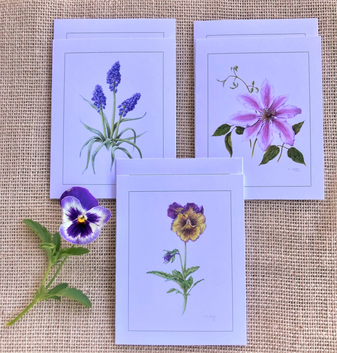 Notes From the Garden Blank Botanical Note Cards Package of 6 2 Each of ...