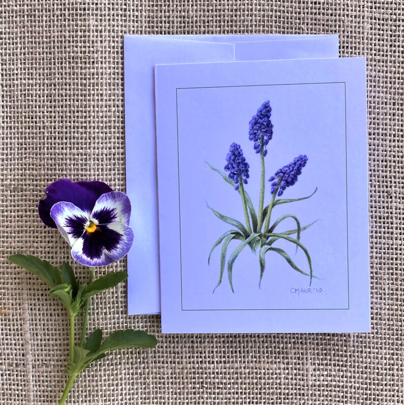 Notes From the Garden Blank Botanical Note Cards Package of 6 2 Each of ...