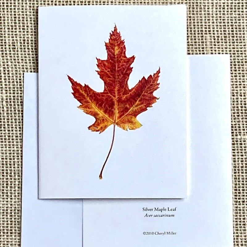 TwigsAndPetals - Etsy