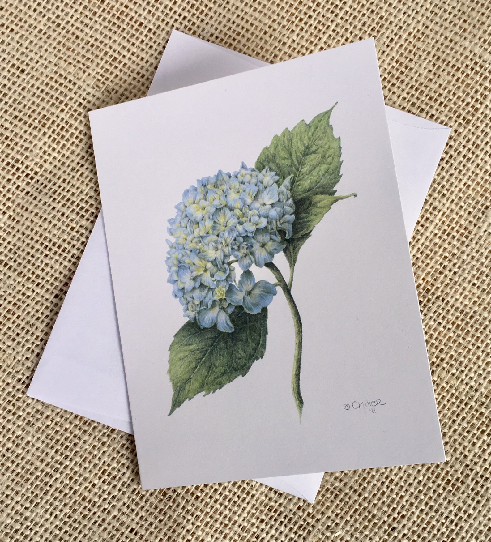 Hydrangea Note Cards - Blank Botanical Note Cards - Package of 6 - All ...