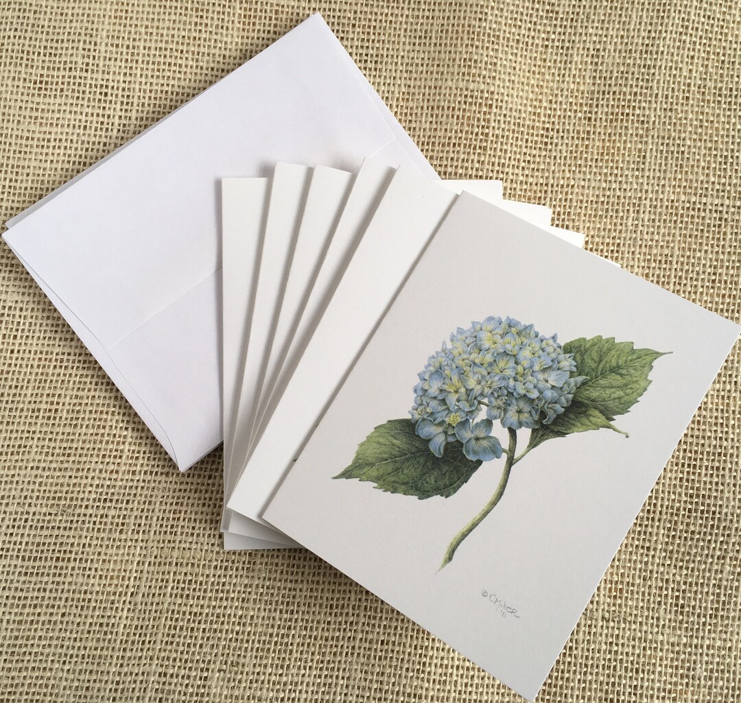 Hydrangea Note Cards - Blank Botanical Note Cards - Package of 6 - All ...