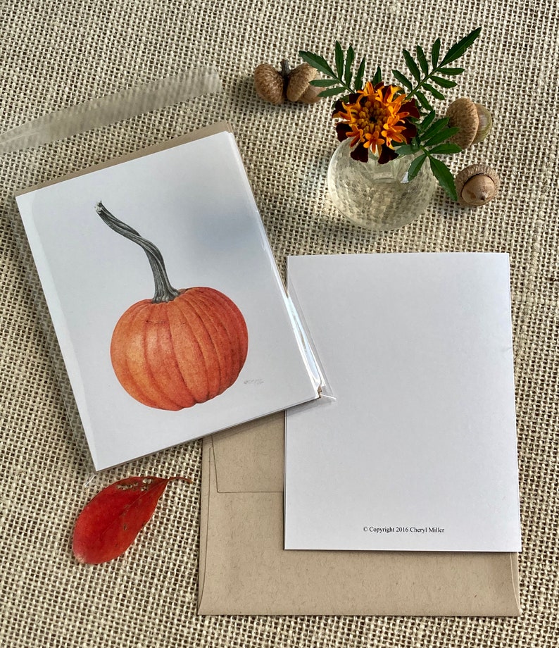 Pumpkin Note Cards 6 Blank Botanical Cards all One Design Brown Kraft ...