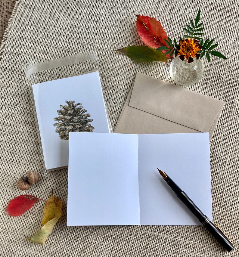 Pine Cone Note Cards, All One Design - Kraft Envelopes, 4 1/4" X 5 1/2 ...