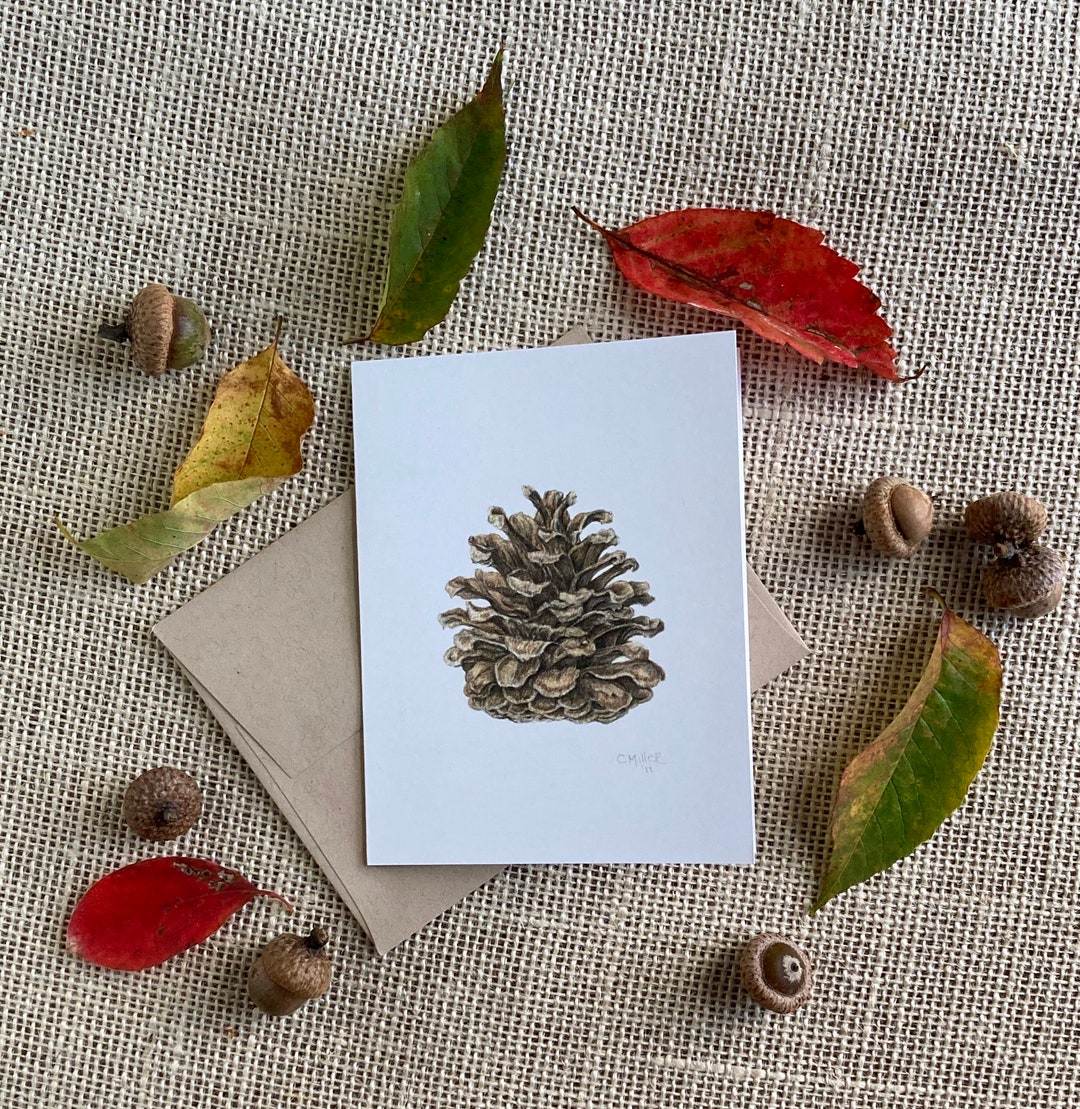 Pine Cone Note Cards, All One Design - Kraft Envelopes, 4 1/4" X 5 1/2 ...