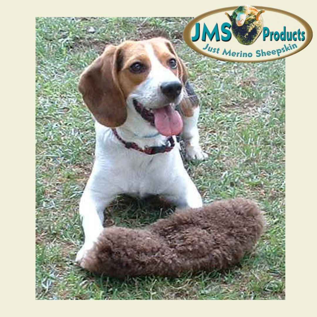 NATURAL Pet Toys: 2 Pieces Real Genuine SHEEPSKIN Wool & Leather Dog ...