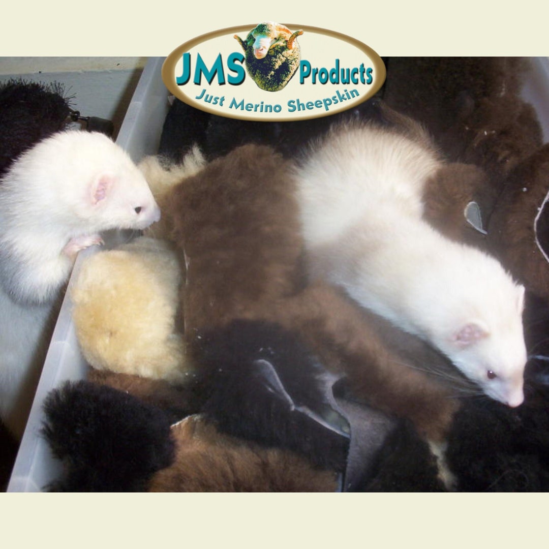 3 Pounds Natural Genuine Sheepskin Pet Ferret Bedding and Play Pieces ...