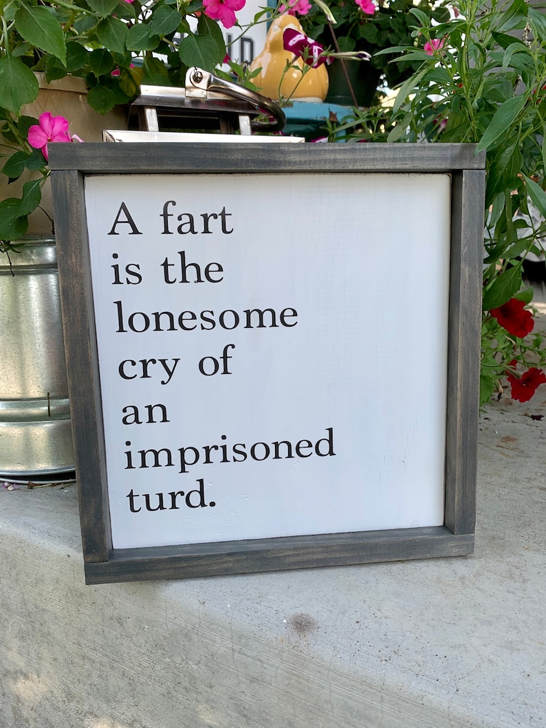 Fart Bathroom Humor Sign, Funny Potty Human, Turd - Etsy