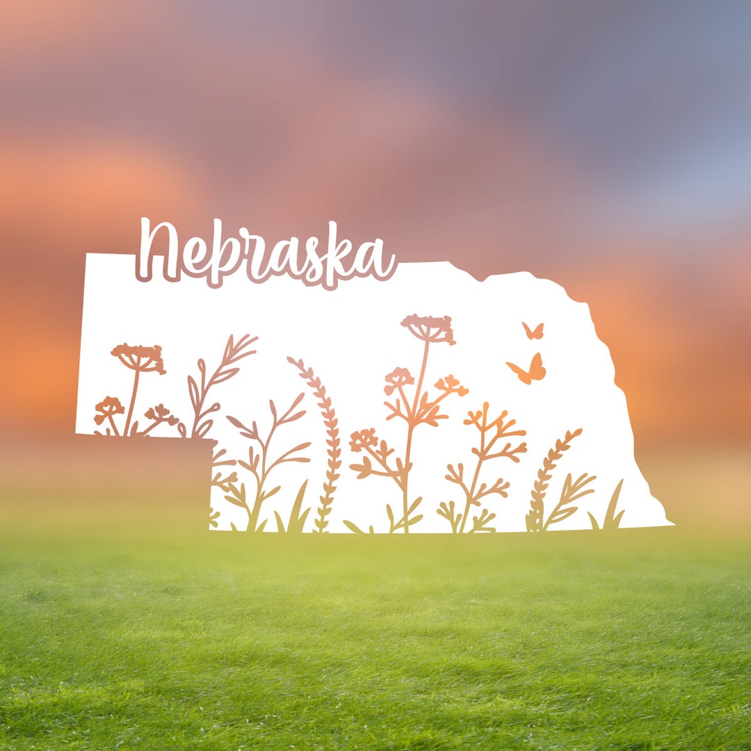 Nebraska Decal, NE State Vinyl Sticker, Waterproof Sticker, Car Decal ...