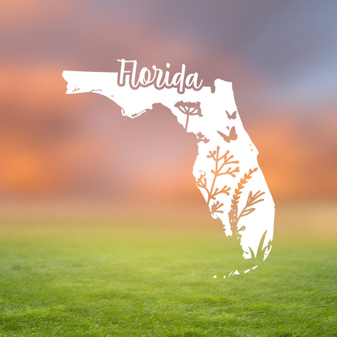 Florida Decal, FL State Vinyl Sticker, Waterproof Sticker, Car Decal ...