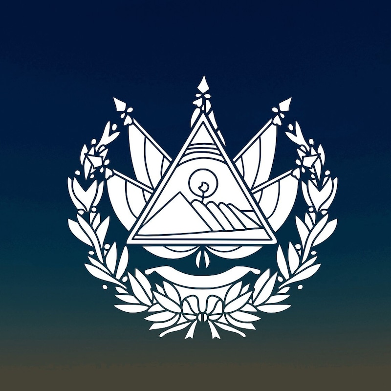 Sticker Salvador Car - Etsy