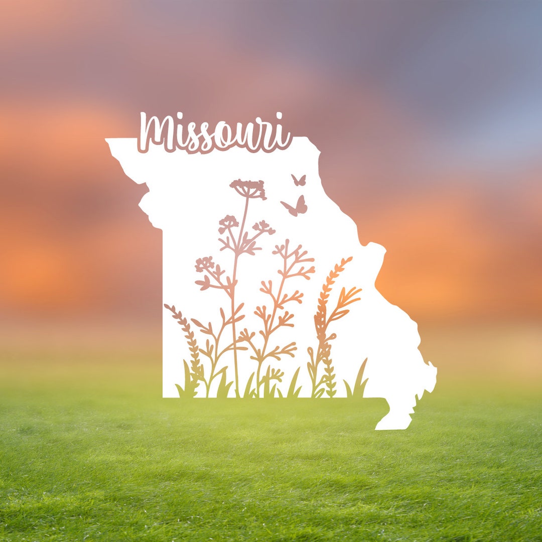 Missouri Decal, MO State Vinyl Sticker, Waterproof Sticker, Car Decal ...