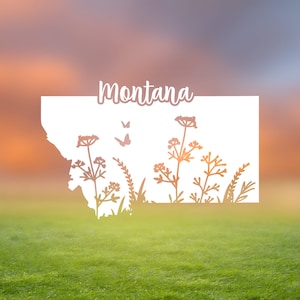Montana Decal, MT State Vinyl Sticker, Waterproof Sticker, Car Decal ...