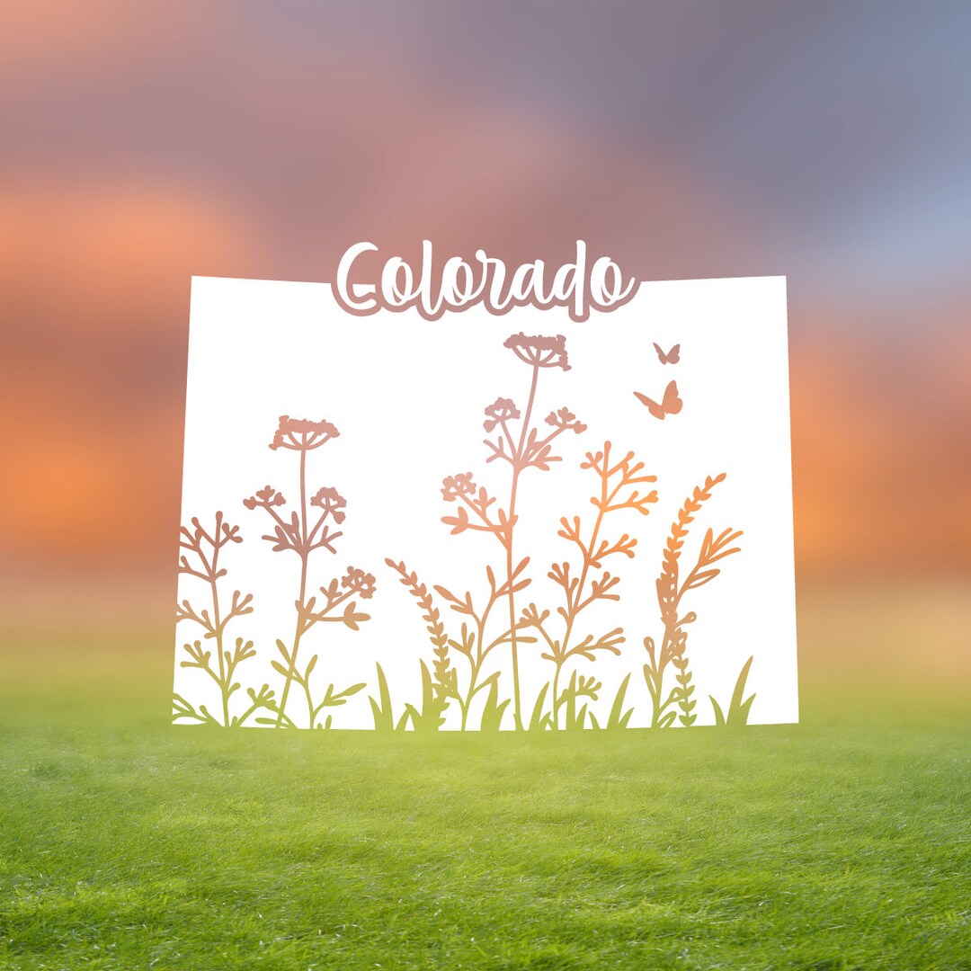 Colorado Decal, CO State Vinyl Sticker, Waterproof Sticker, Car Decal ...