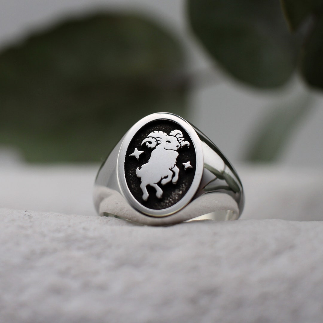 Aries Signet, Minimalist Zodiac Jewellery, Star Sign Ring, Oval Signet ...