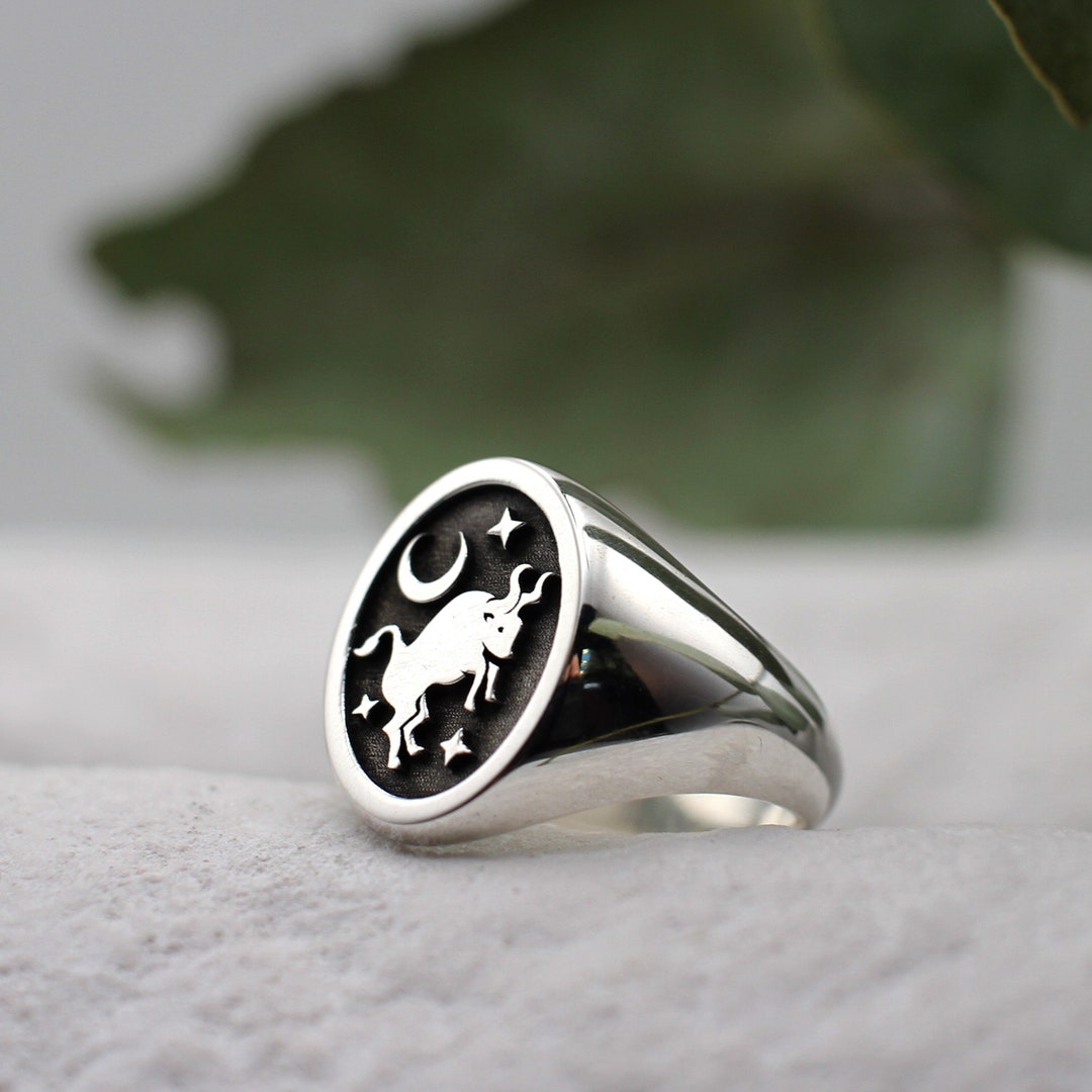 Taurus Signet, Minimalist Zodiac Jewellery, Star Sign Ring, Oval Signet ...