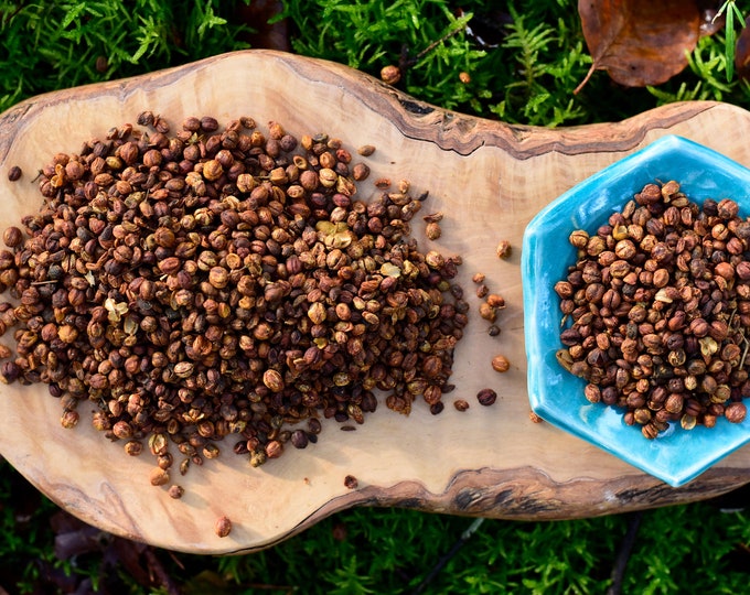 Malkangani Oil Pure Malkangani Carrier Oil Celastrus Paniculatus 100% ...