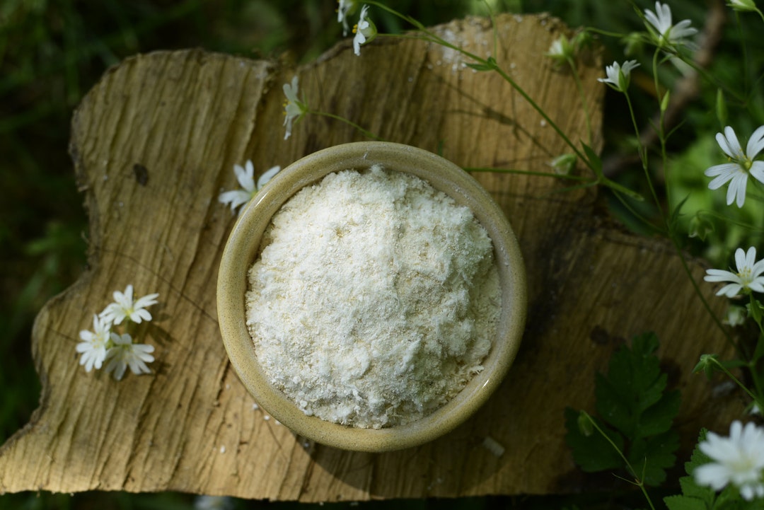 Uvuma Omhlope (synaptolepis Kirkii) | Ubulawu Family Xhosa Dream Roots ...