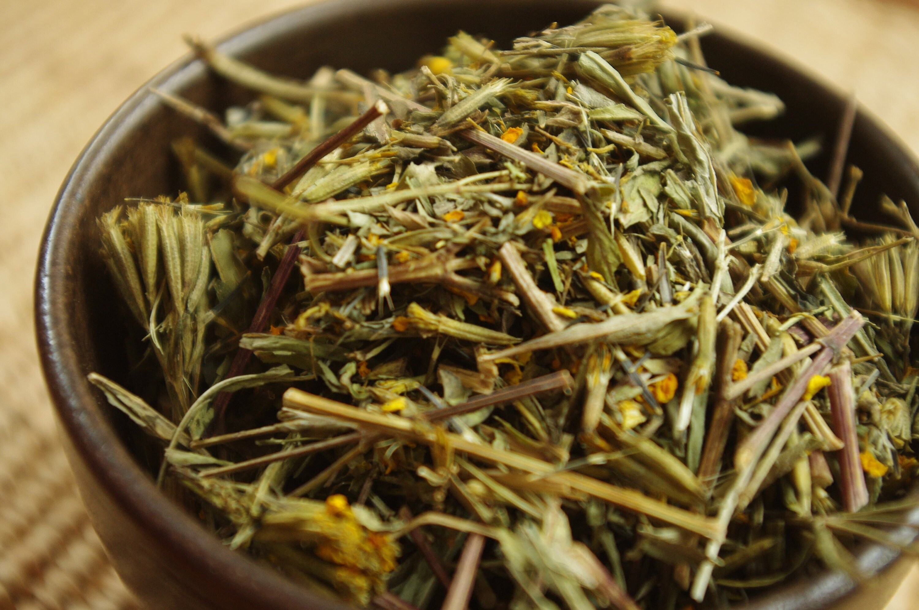 Organic Mexican Tarragon Tagetes Lucida Marigold Yauhtli | Etsy