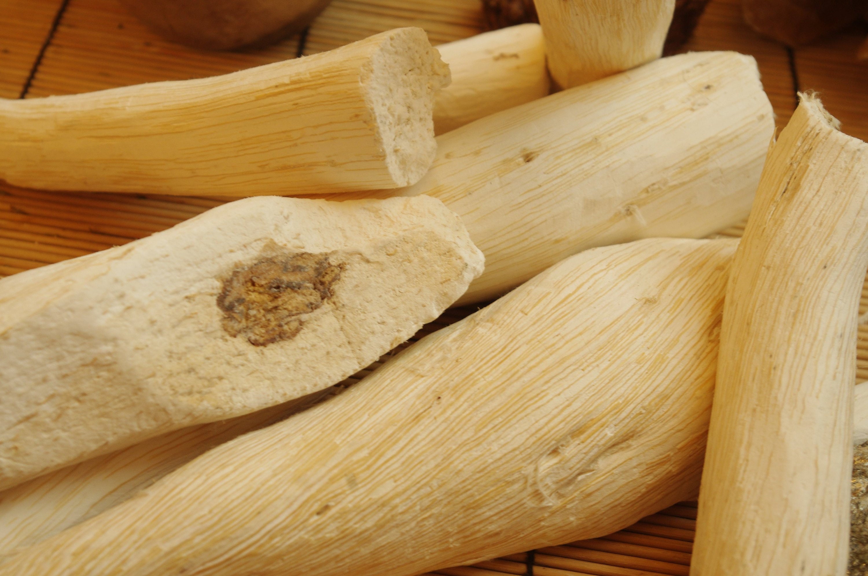 Uvuma Omhlope Synaptolepis Kirkii Ubulawu Family Xhosa - Etsy Norway