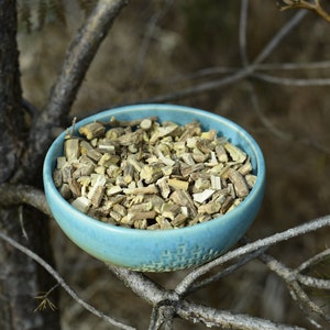 Ubhubhubhu | Helinus Integrifolius | Ubulawu Family | Xhosa Dream Wood ...