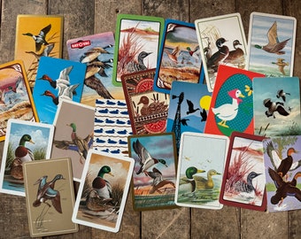 30 Vintage Bird Themed Playing Cards Assortment Pack | Swap Cards ...