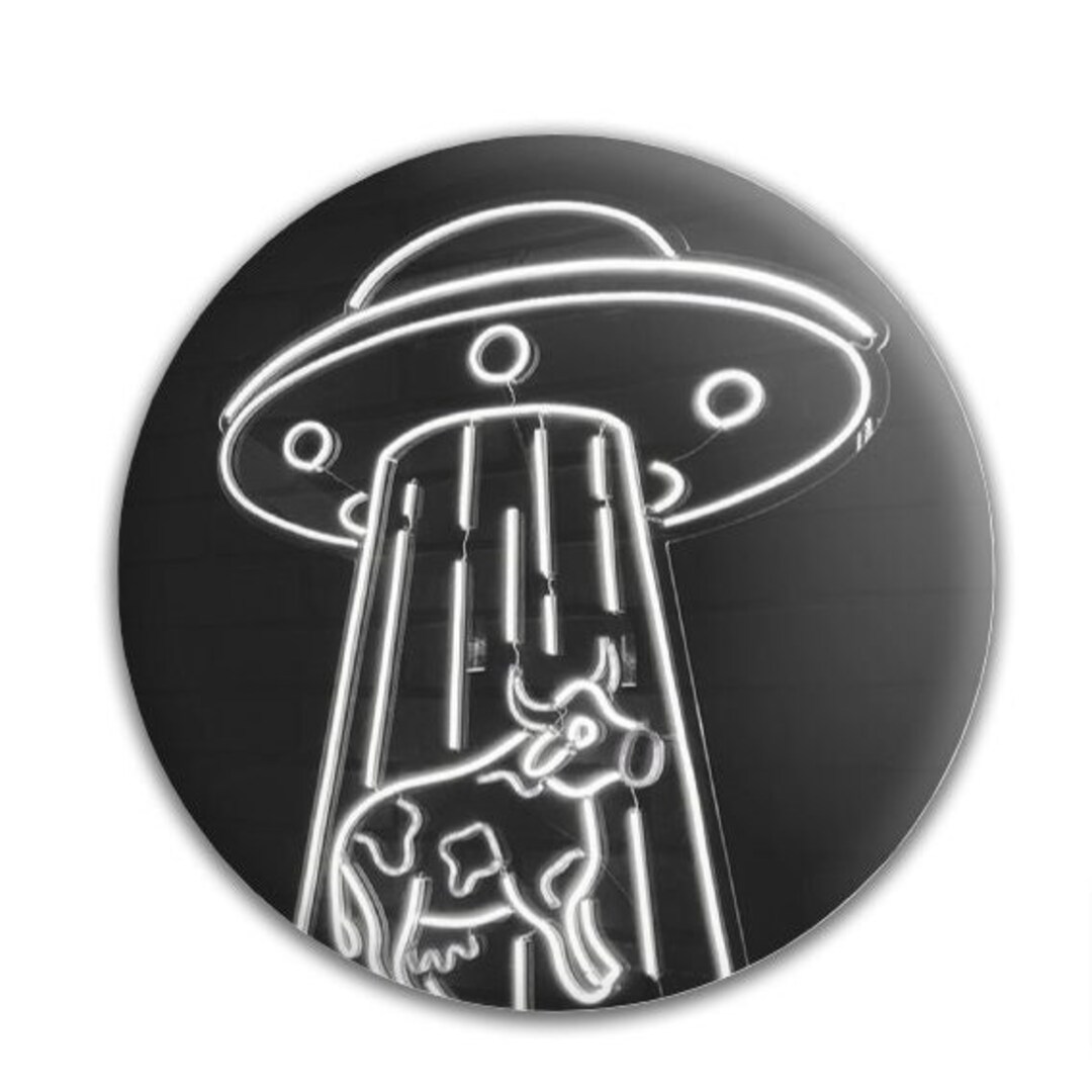 UFO Disc Golf Disc - Custom Disc Golf Disc - Dynamic Discs - Prodigy ...