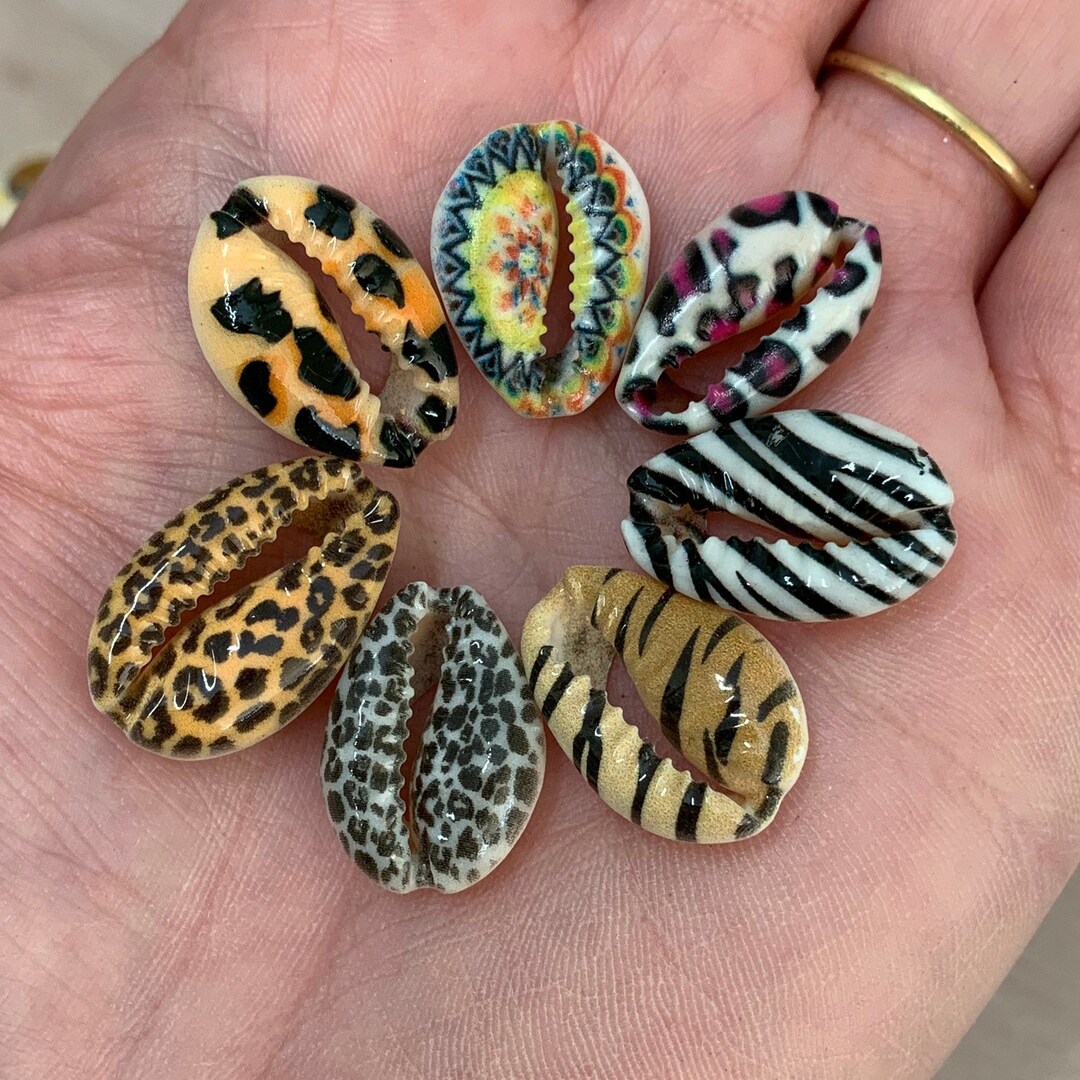 Colourful Cowry Shell Charm, Pukka Shell Charm, Animal Print Cowry ...